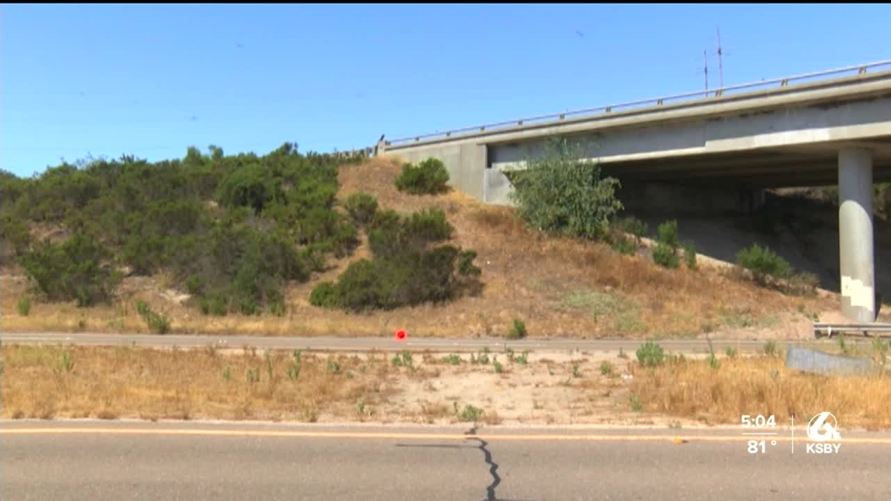 UPDATE: Driver killed in Hwy 1 crash was being pursued by security ...