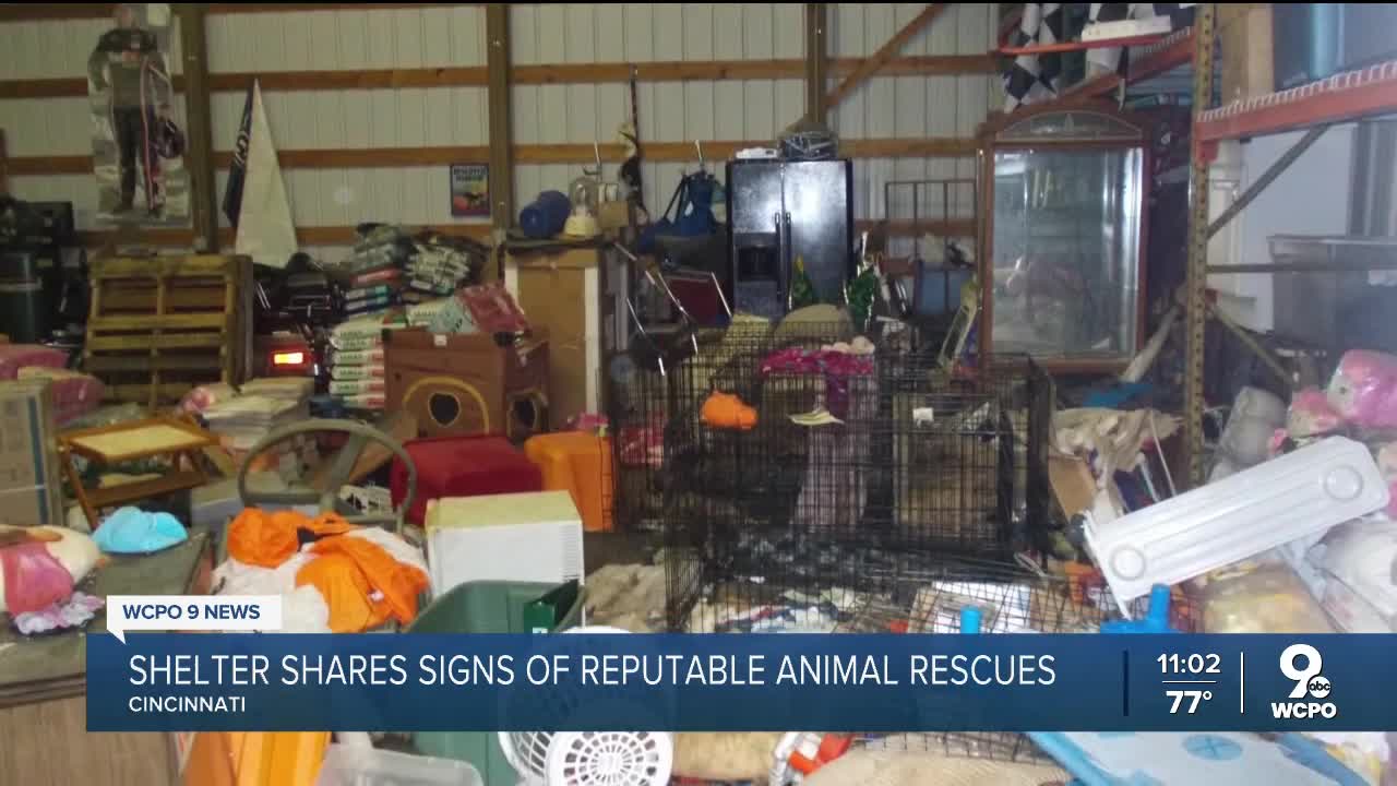 Butler County animal rescue owner arrested after 30 dead dogs found in ...