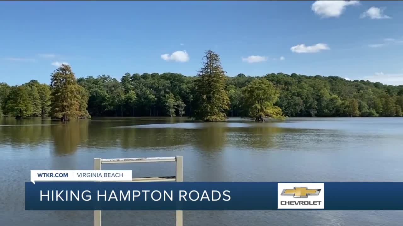 Hiking Hampton Roads: Stumpy Lake Natural Area