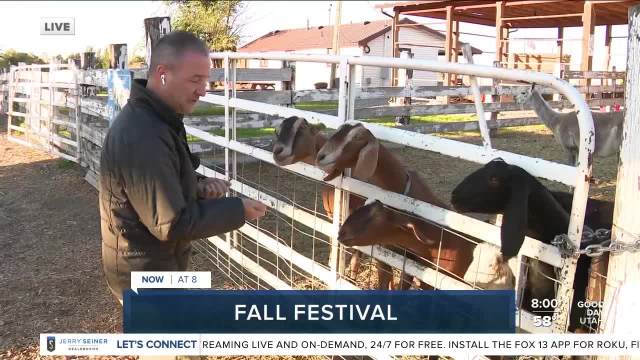 Cross E Ranch's Fall Festival 2022