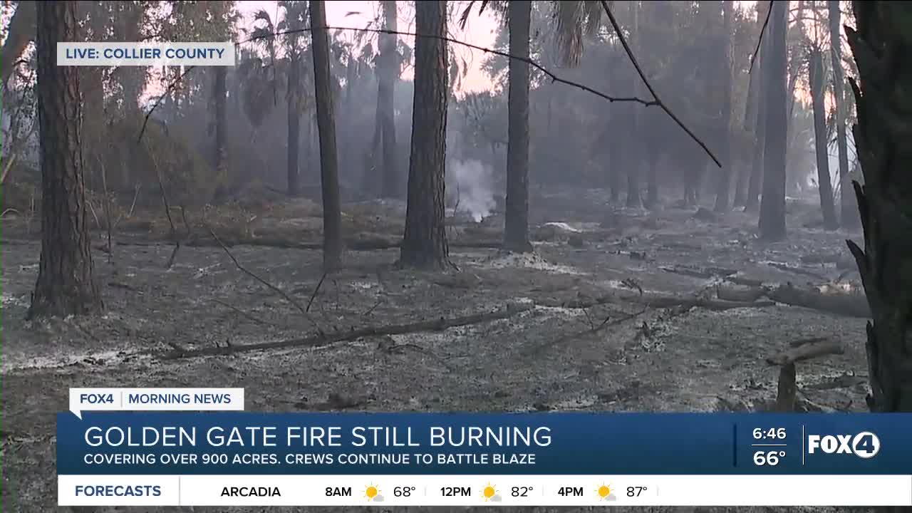 14th Ave Fire in Golden Gate 100% contained