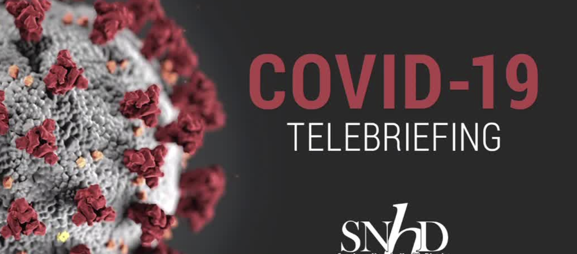 SNHD holds telebriefing about coronavirus pandemic