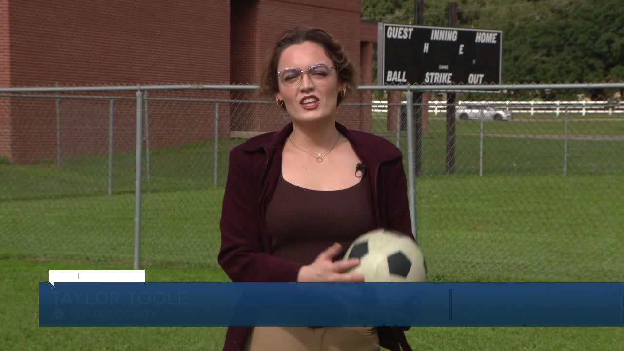 LCG unveils plans for Brown and Moore parks