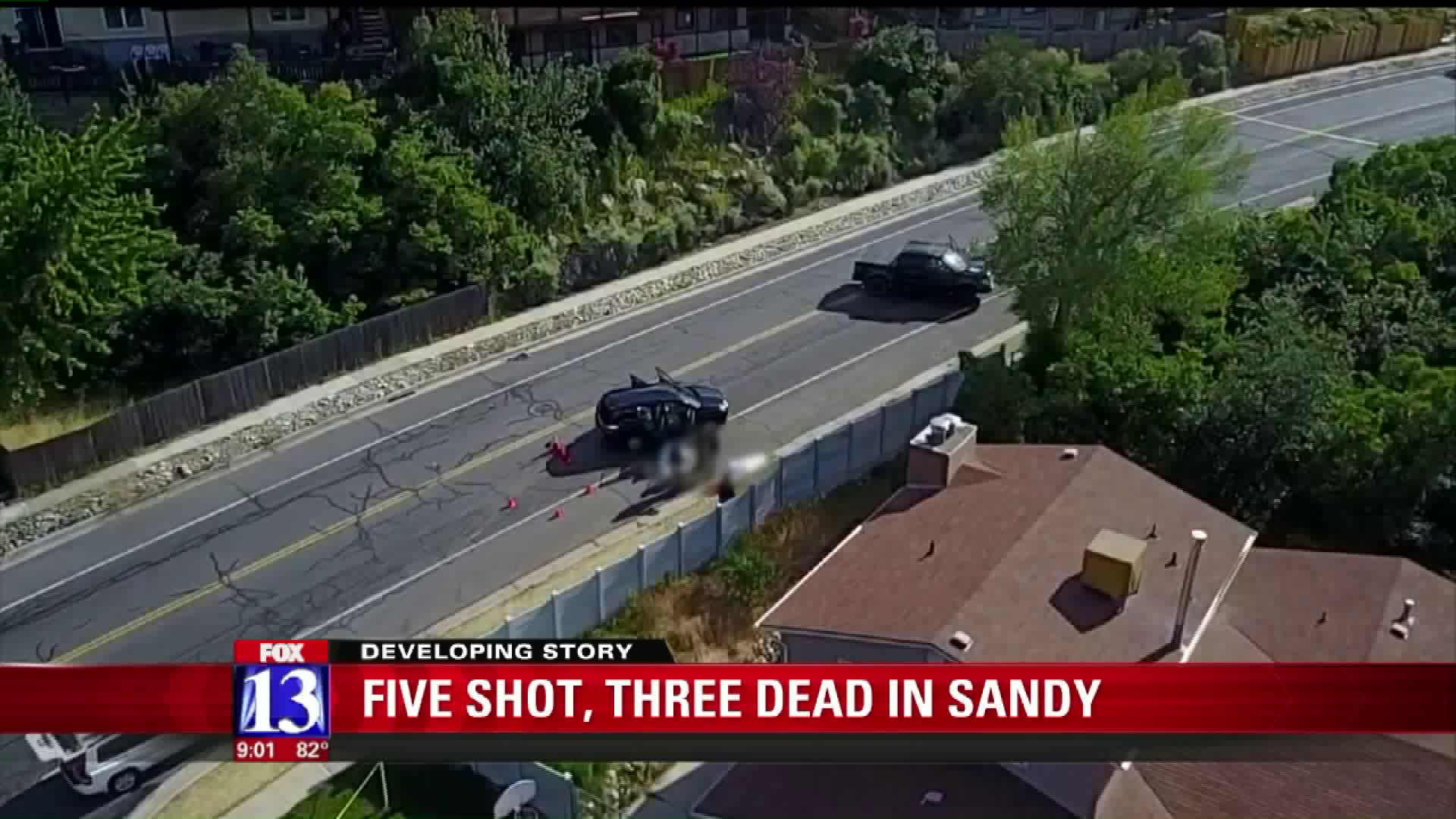 Kindergartner, his mom & gunman killed, two children injured in Sandy ...
