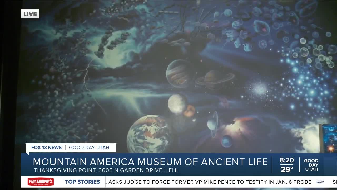 The Mountain America Museum Of Ancient Life