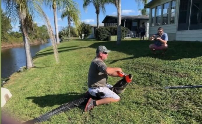 2 dogs killed by gators in Martin County