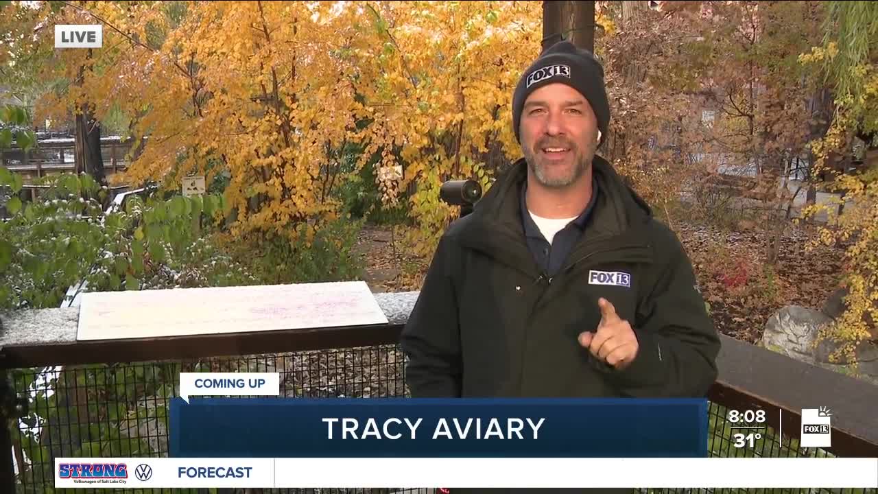 The Tracy Aviary at Liberty Park