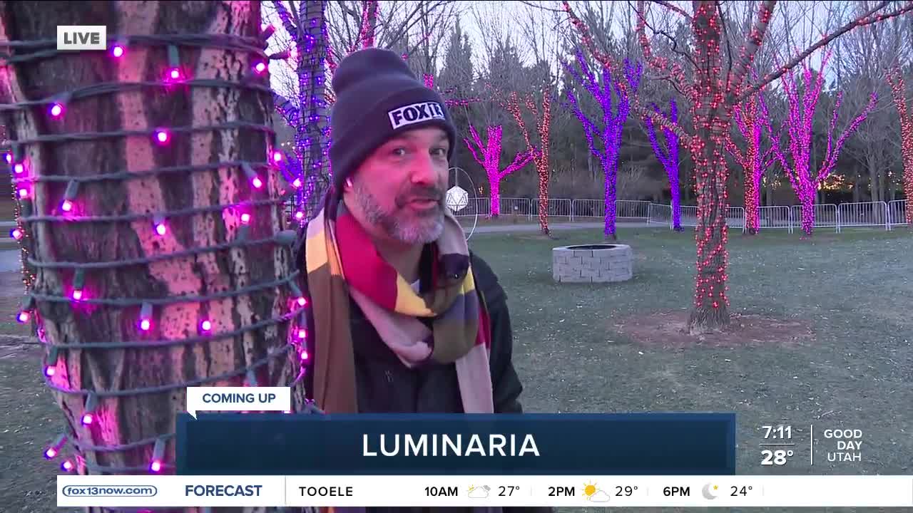 Luminaria 2022 at Ashton Gardens