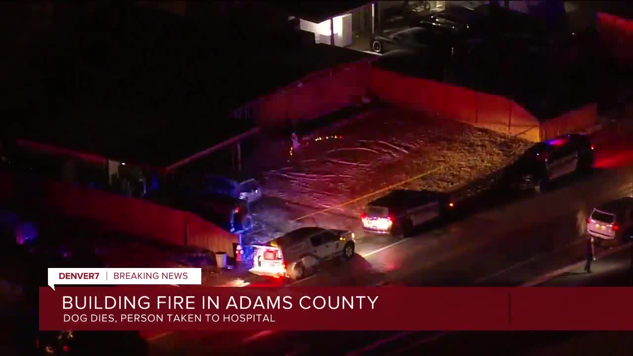 Investigators suspect arson in Adams Co. fire that killed dogs, injured ...