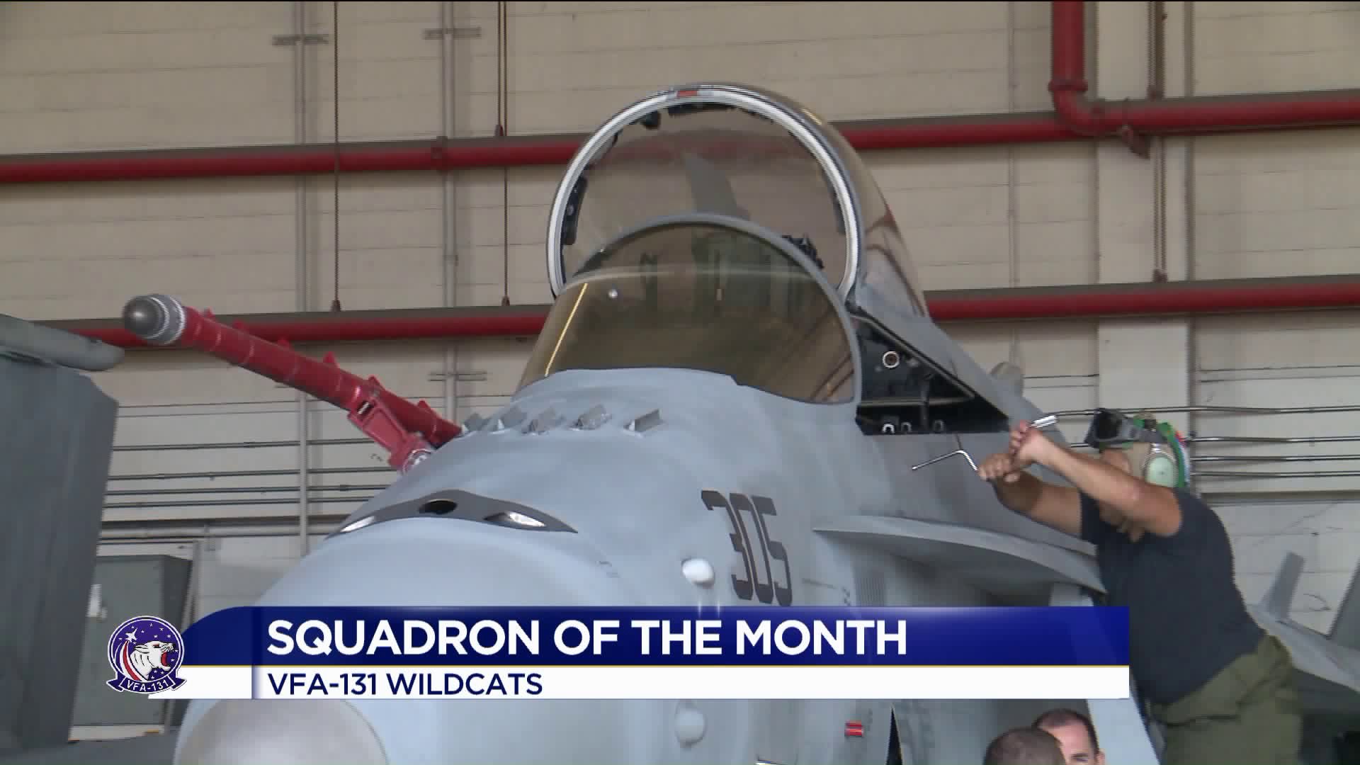Squadron of the Month: VFA-131 Wildcats