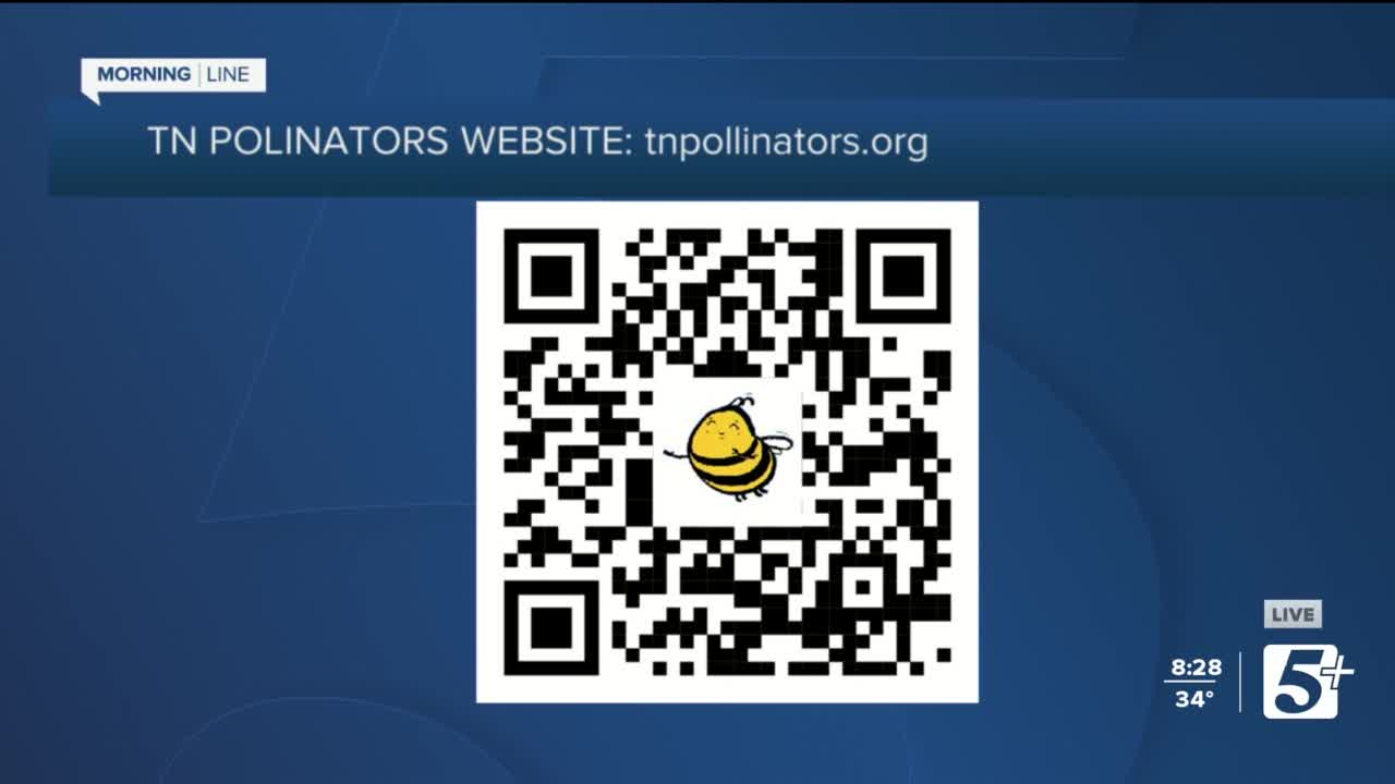 TDOT Pollinator Habitat Program