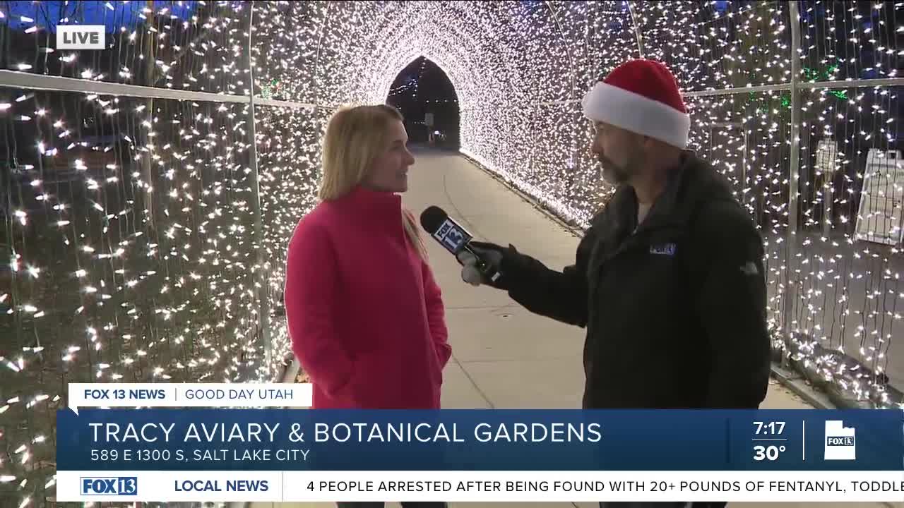 The Lightwalk (and more!) at the Tracy Aviary