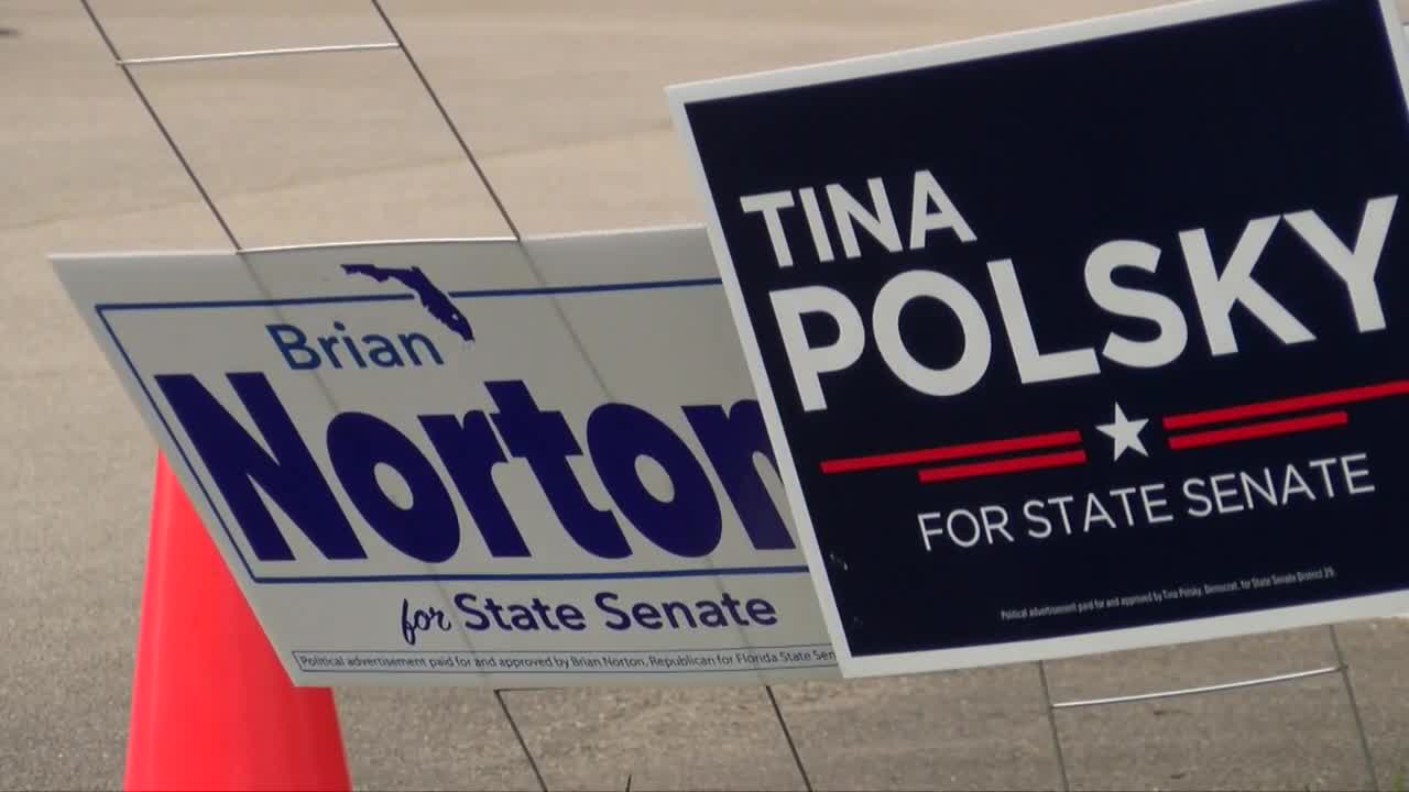 Polsky defeats Norton in Senate District 29