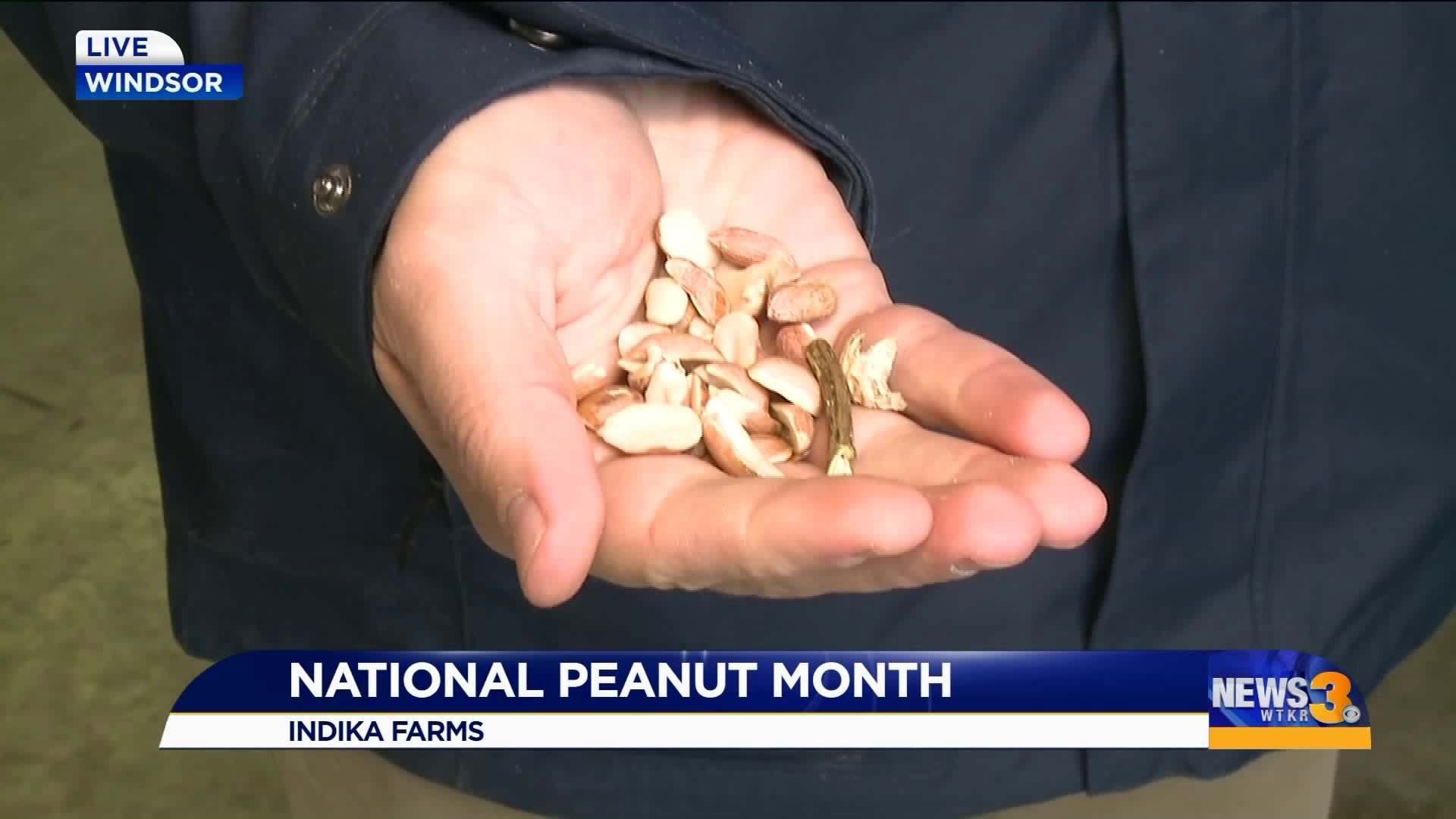 New research shows immunotherapy can protect people with peanut ...