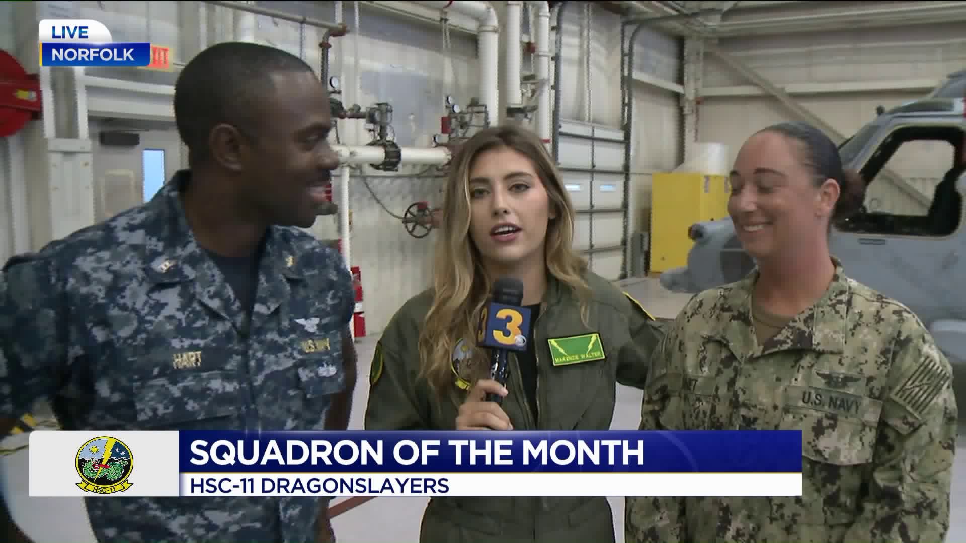Squadron of the Month: HSC-11 Dragonslayers