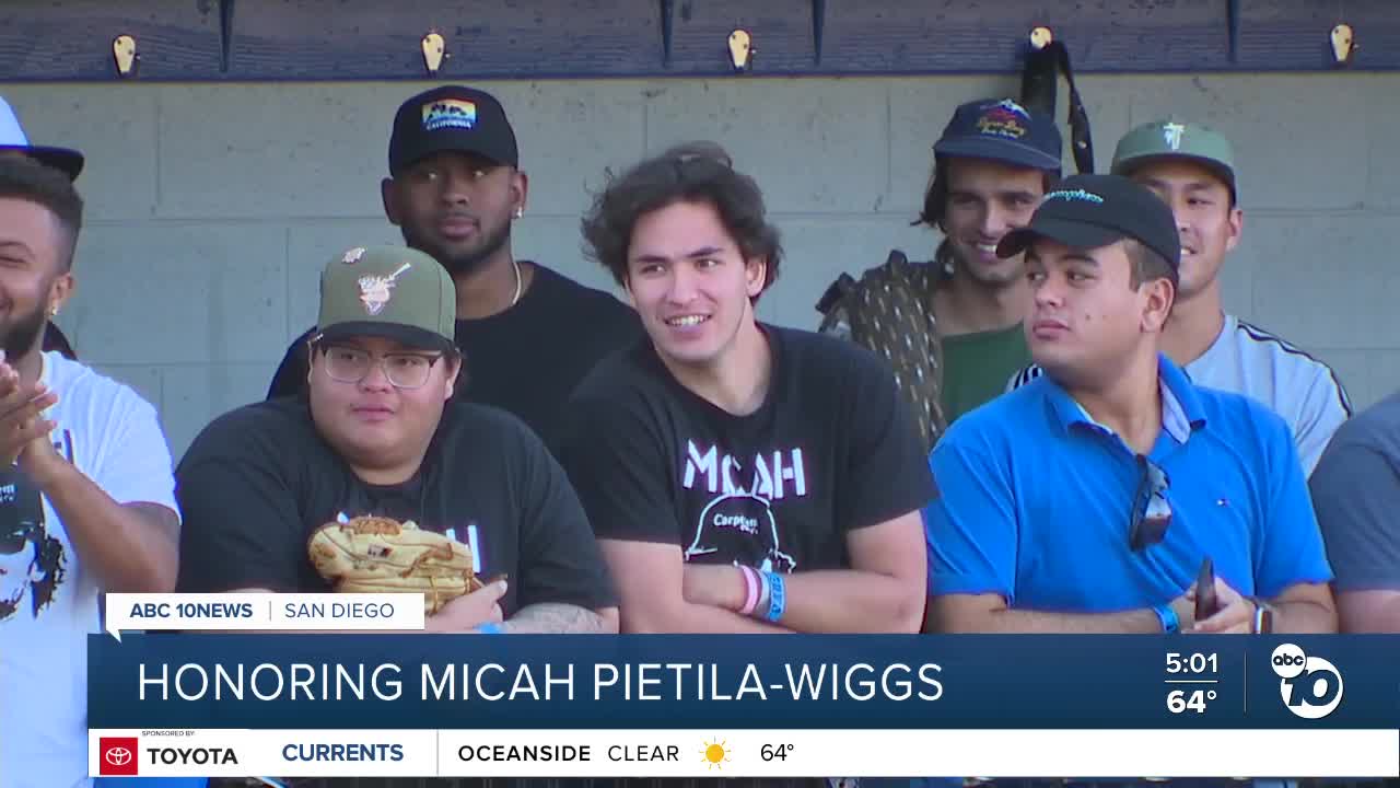 Friends and family host baseball event honoring East Lake's Micah ...