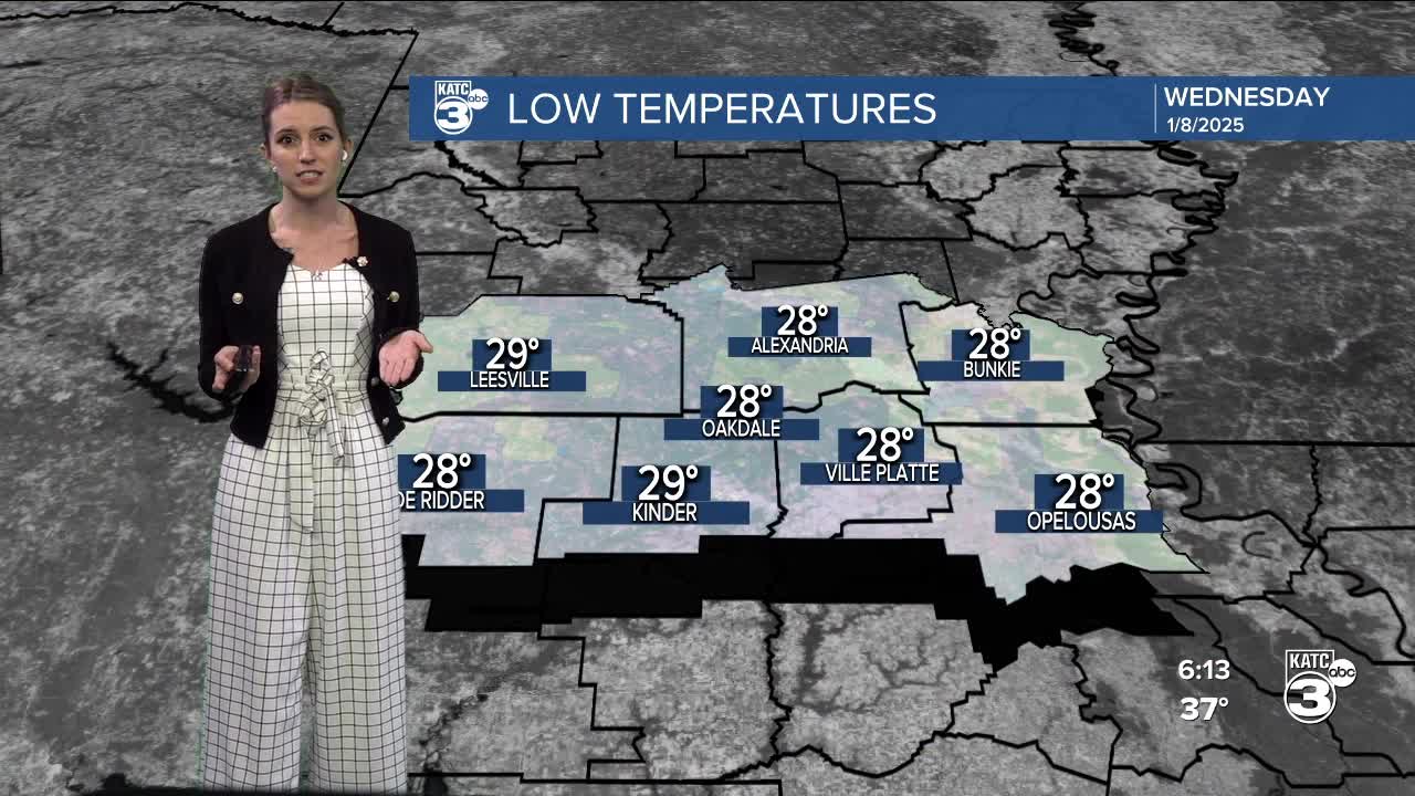 Video Forecasts
