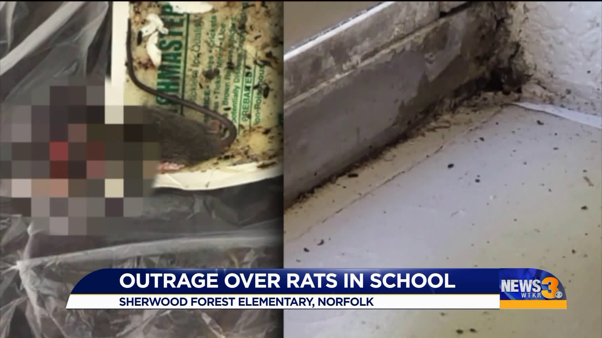 Parents address school board leaders about rodent infestation at ...