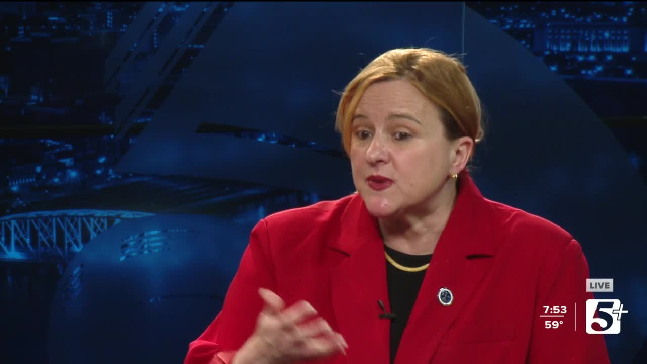 Gun Safety Proposals with Sen. Heidi Campbell