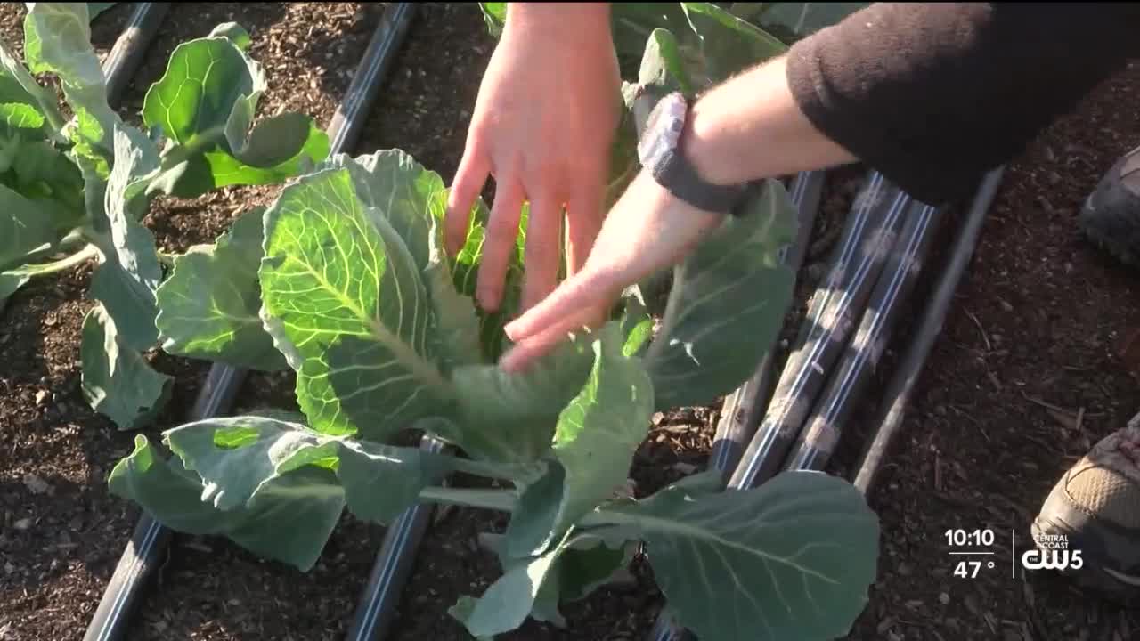 Enroll your kids in City Farm SLO's Youth Empowerment Program