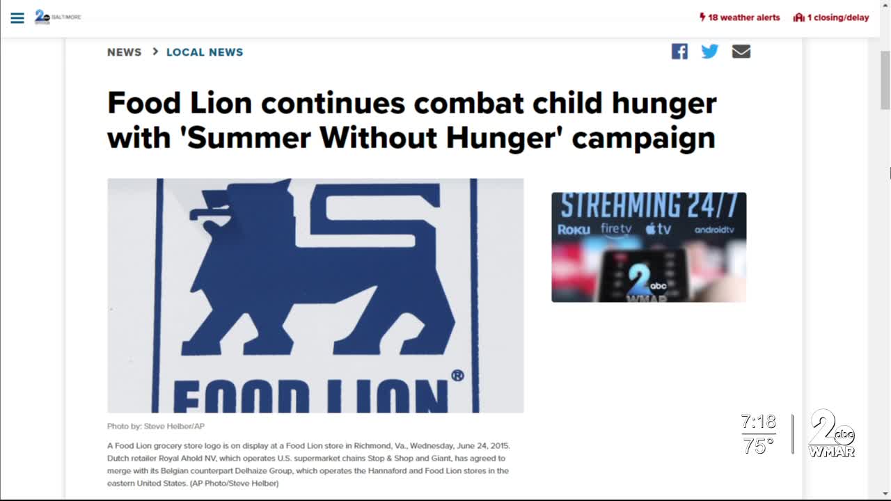 Food Lion continues to combat child hunger with 'Summer Without Hunger ...