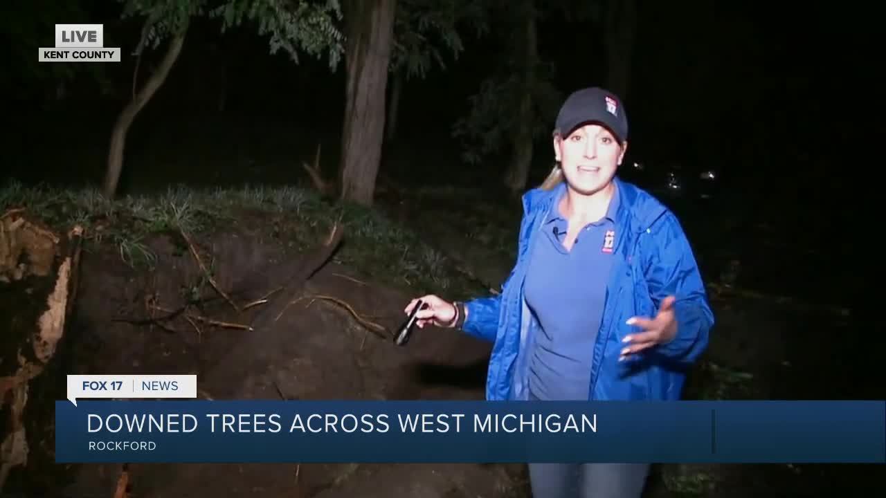 Storms cause heavy damage throughout West Michigan overnight