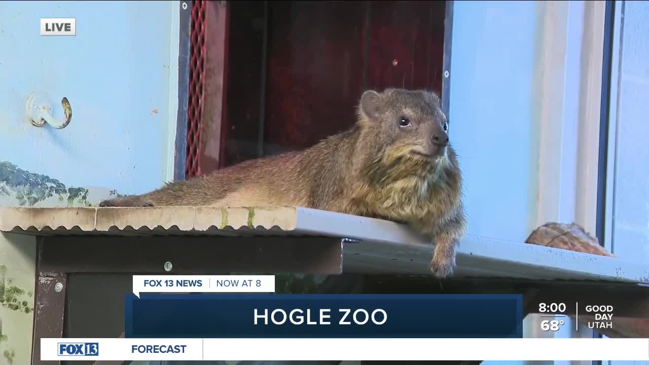 Hogle Zoo