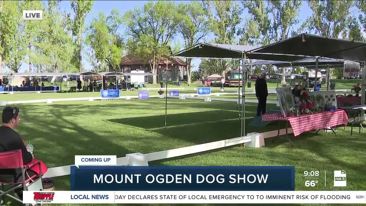 The All-Breed Dog Show In Logan
