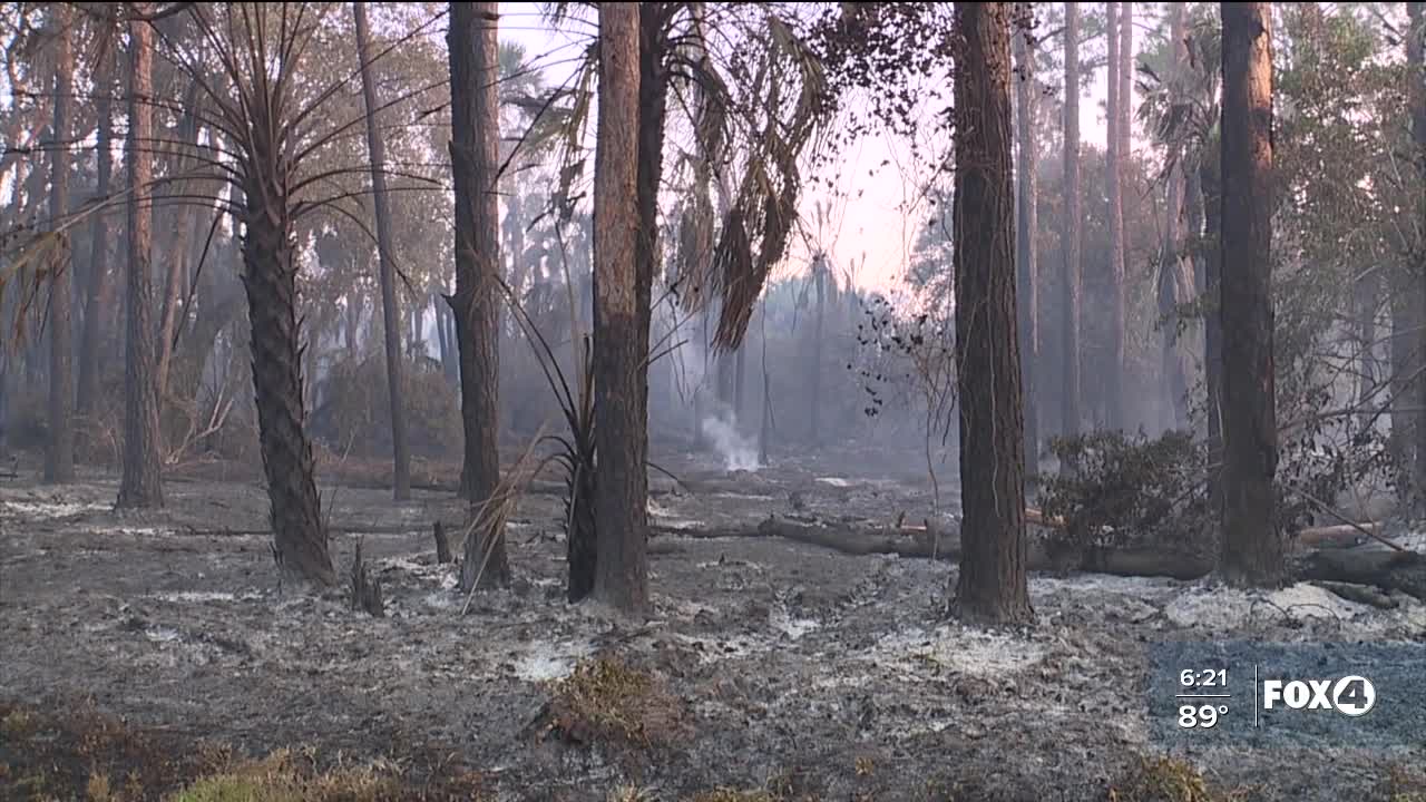 14th Ave Fire in Golden Gate 100% contained