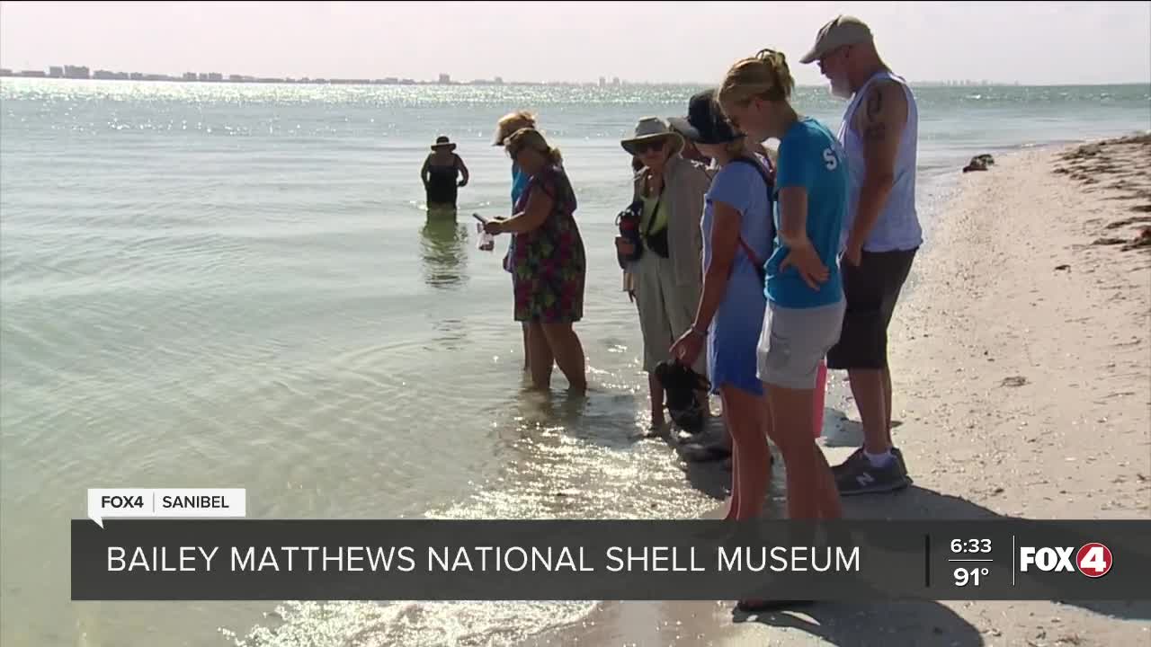 'Treasure from the sea': Shell Museum on Sanibel works to rebuild after Ian