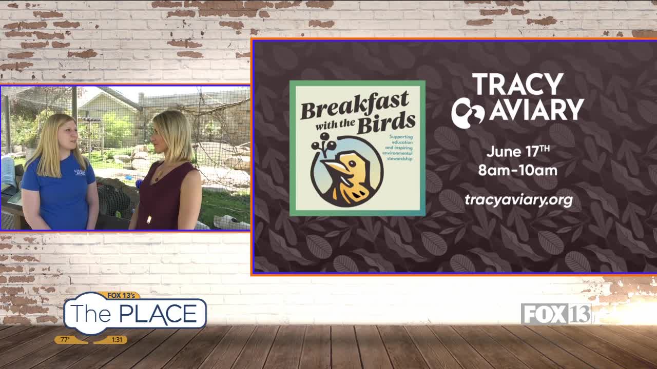 Celebrate Andy, the oldest bird at Tracy Aviary