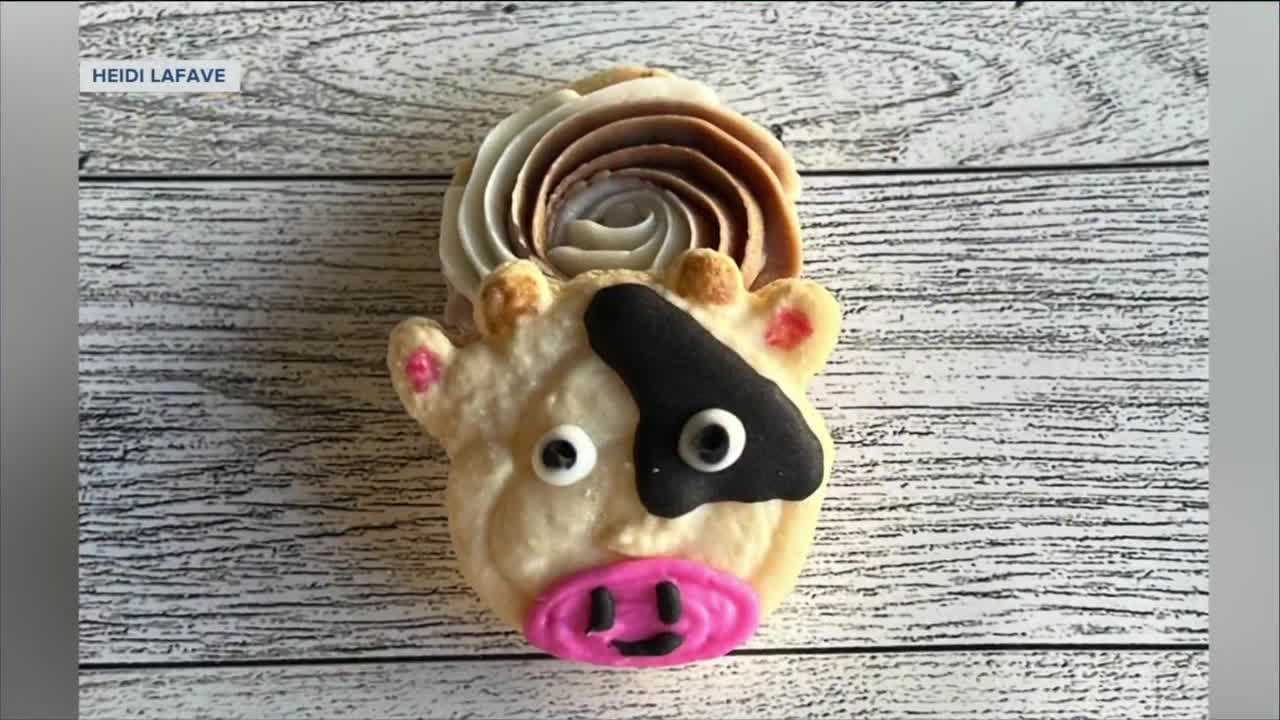 Special moment between autistic teen and lion at Racine Zoo captured on ...