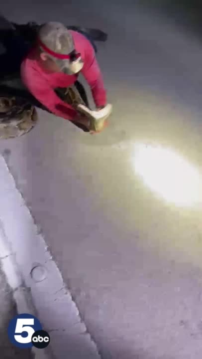 Medina native helps catch record-breaking 19-foot python in Florida