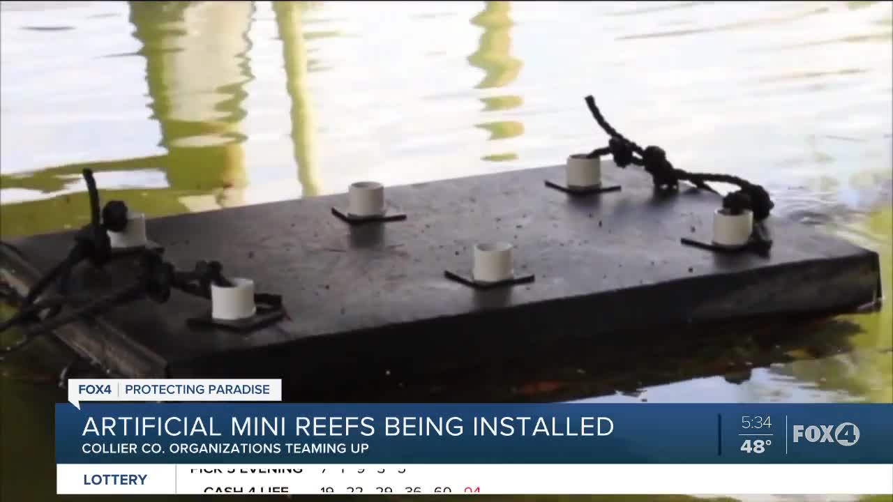 Artificial mini reefs being installed in Collier County