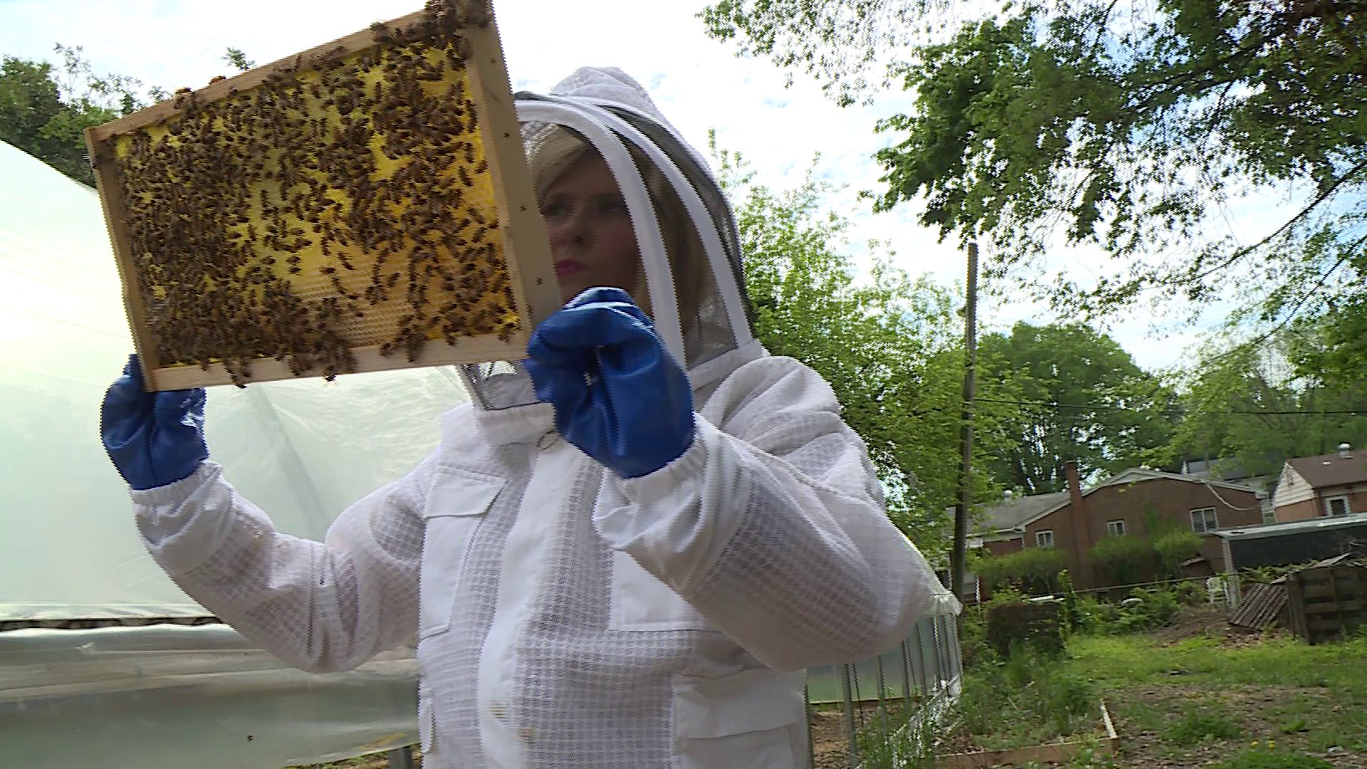 Nikki-Dee catches a buzz as Richmond beekeeper