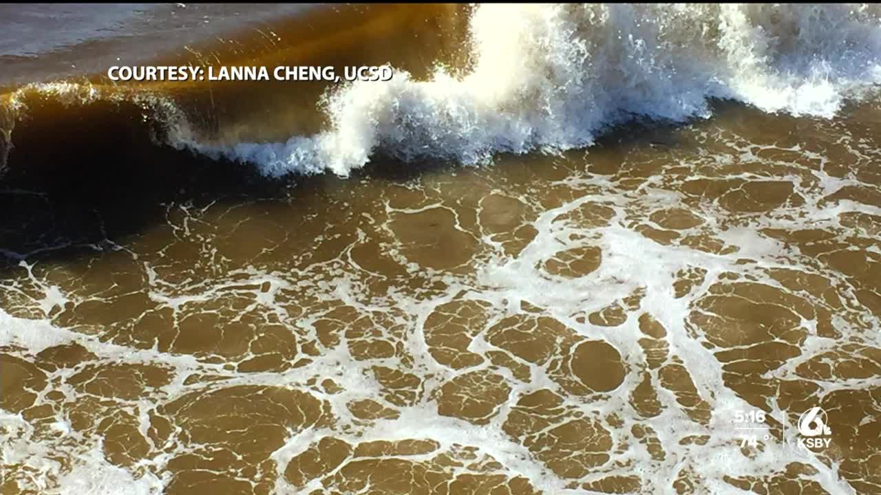 Noticing red, murky water at the beach? Here's why