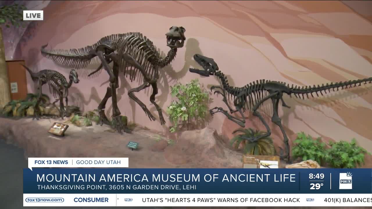 The Mountain America Museum Of Ancient Life