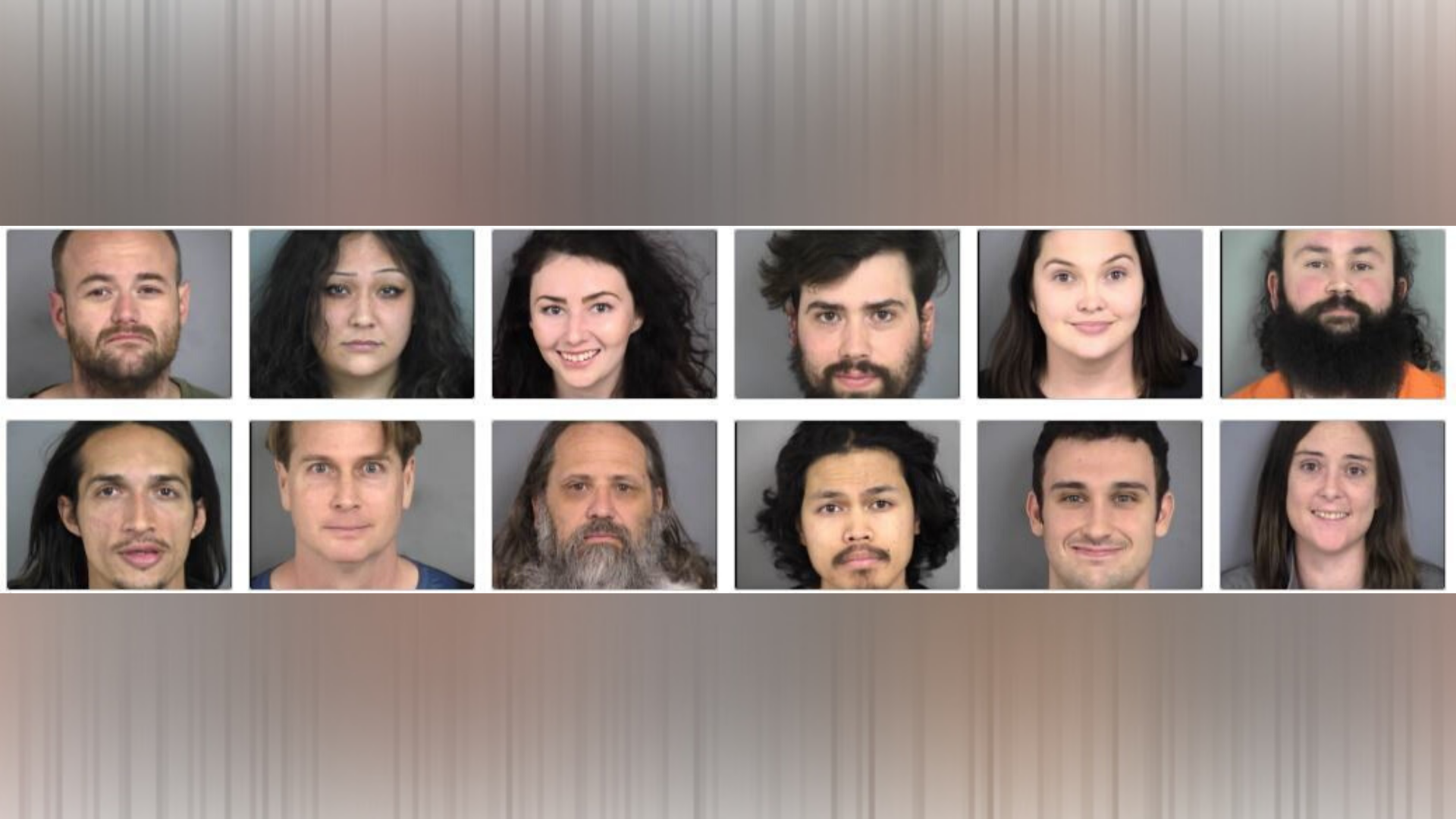 UPDATE: Mug shots of 'Occupy Fremont' protesters released