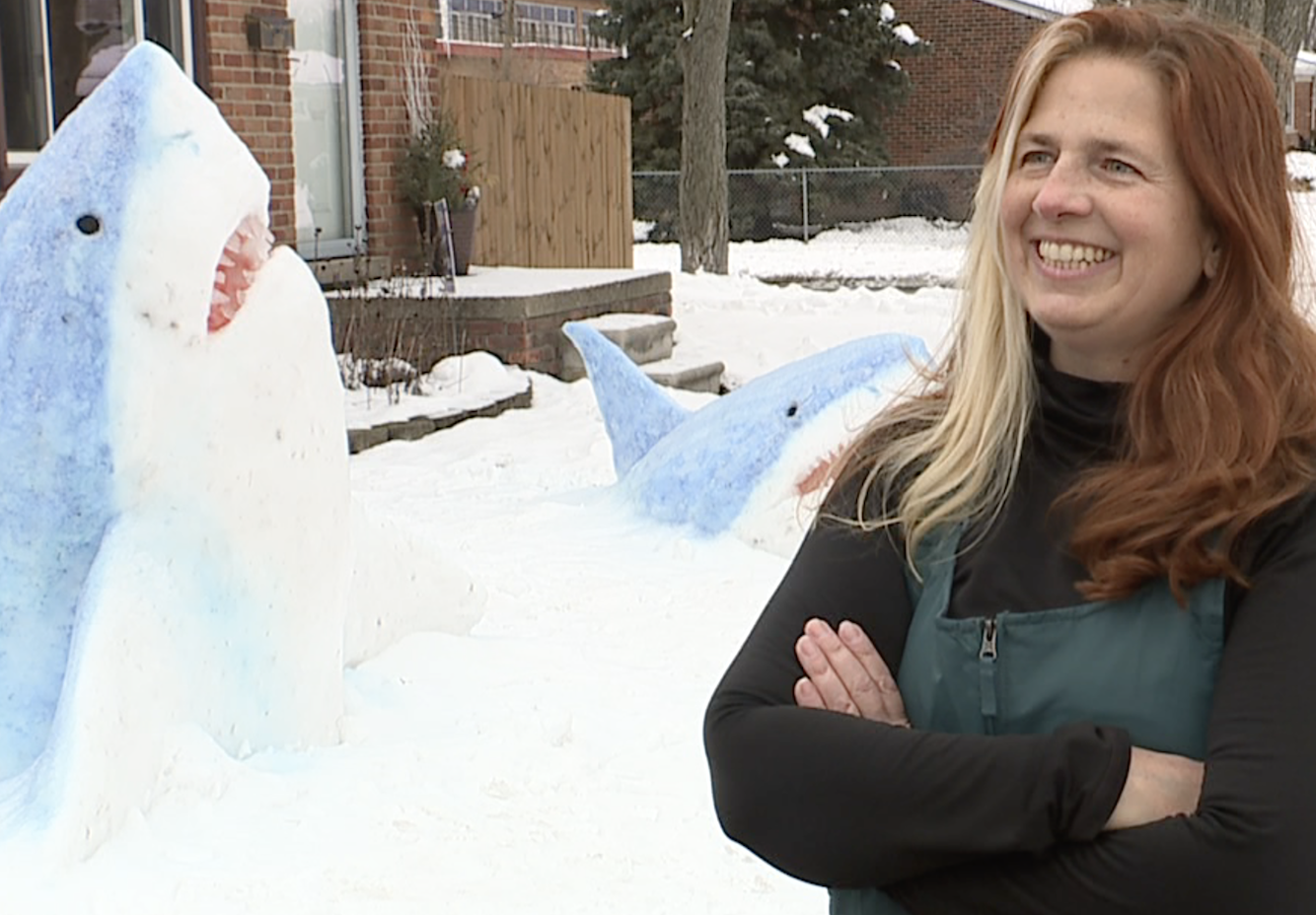 Michigan teacher's snow sharks win the internet
