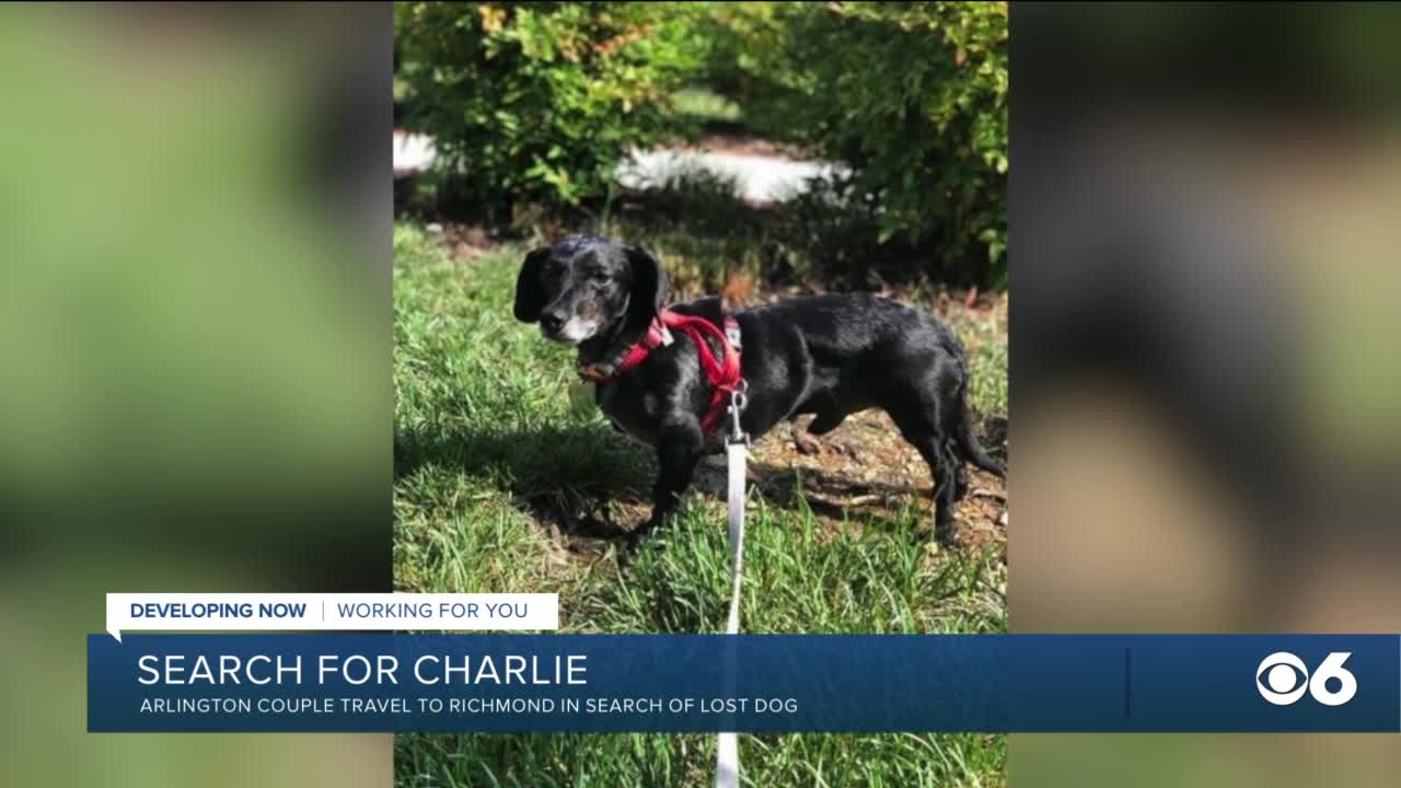 Couple searches for Charlie, dog missing in Richmond