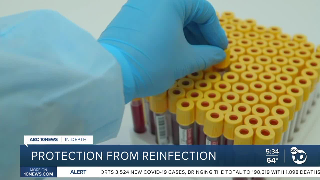 How long are COVID survivors protected from reinfection?