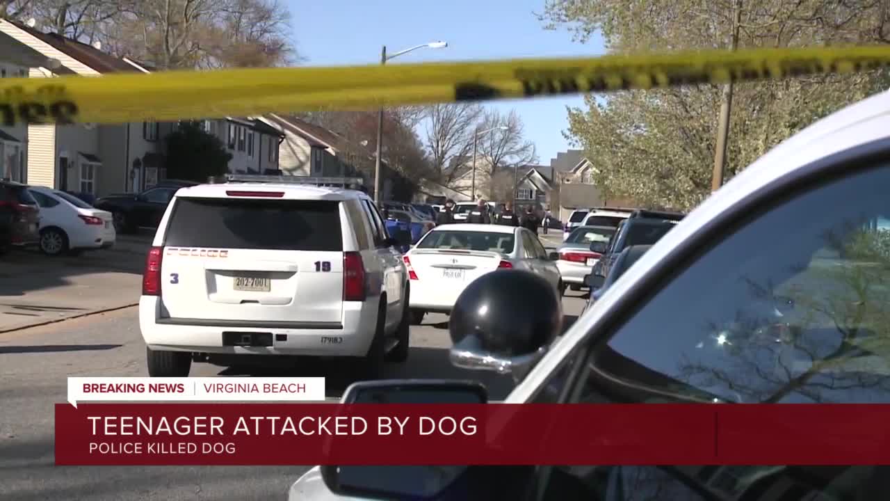 'It was horrible:' Pit bull killed by VB police after attacking child